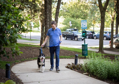 Common Dog Walking Injuries | Brookdale Senior Living