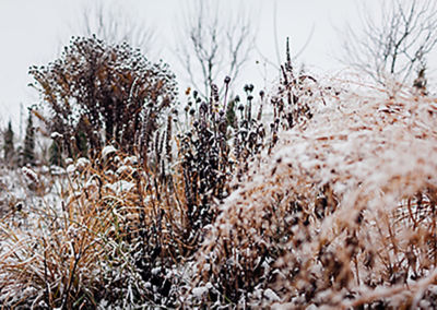 Preparing Your Garden for Season Change | Brookdale Senior Living